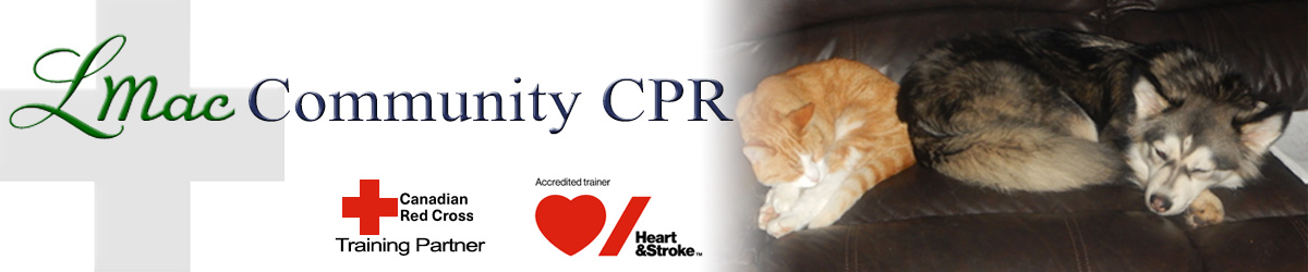 LMac Community CPR - Psychological First Aid